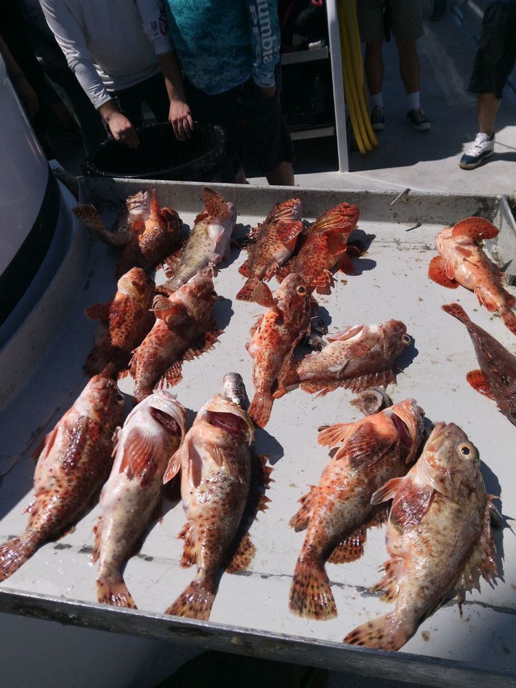 VAN WOODS - Updated September 2024 - Request a Quote - 51 Photos ...