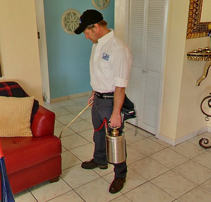 24 SEVEN PEST CONTROL - Updated October 2025 - Miami, Florida - Pest ...
