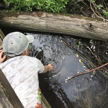 RETZER NATURE CENTER - Updated December 2025 - 56 Photos & 15 Reviews ...