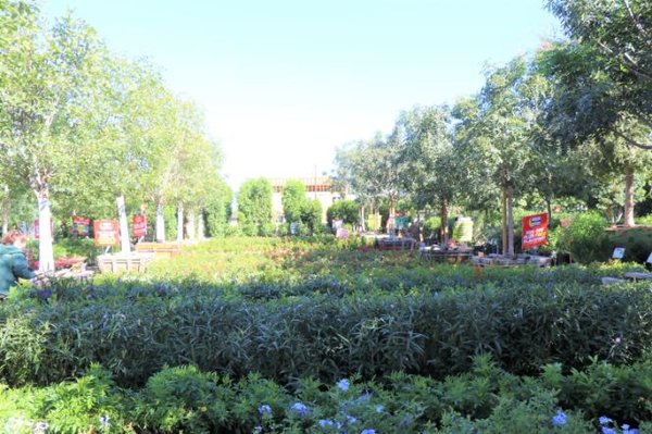 MOON VALLEY NURSERIES - Updated October 2025 - 117 Photos & 64 Reviews - 13300 N Postvale Rd ...