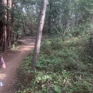 POGONIP - 217 Photos & 36 Reviews - Parks - 333 Golf Club Dr, Santa ...