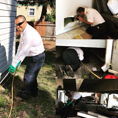 DAVE’S PEST CONTROL - Updated October 2025 - 59 Photos & 29 Reviews ...