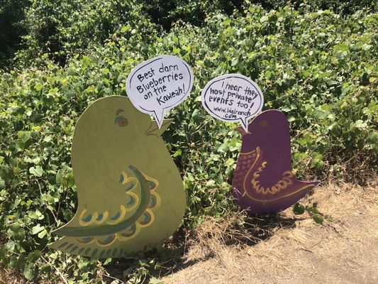 BIG L RANCH - Updated May 2024 - 86 Photos - 20899 Ave 322, Woodlake ...