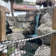 HAWAIIAN RUMBLE GOLF & BATTING CAGES - 60 Photos & 47 Reviews - Mini ...