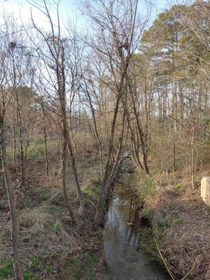 GLENLAKE PARK - 41 Photos & 14 Reviews - 1121 Church St, Decatur ...