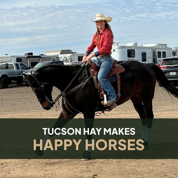 TUCSON HAY SALES - Updated October 2024 - Tucson, Arizona - Livestock ...