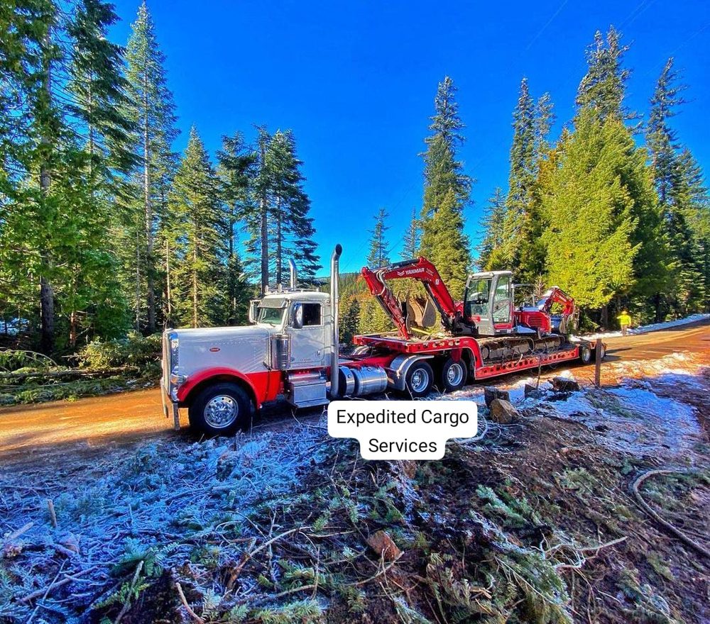 EXPEDITED CARGO SERVICES - Updated November 2024 - Request a Quote - 54 ...
