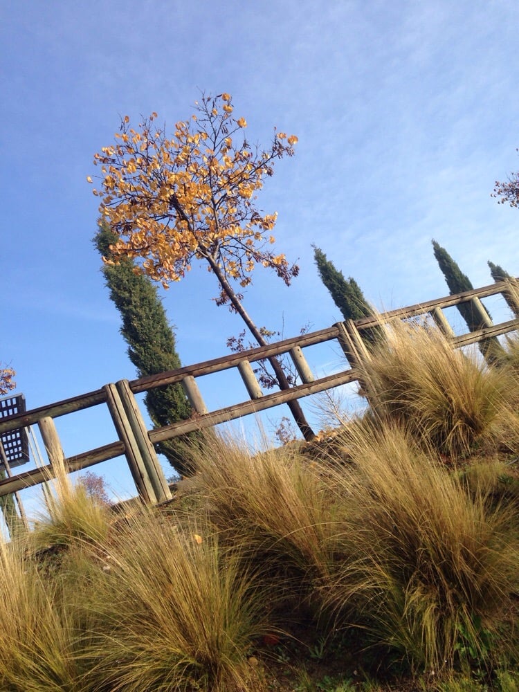 PARQUE EL MONTECILLO - Updated June 2024 - Las Rozas, Madrid, Spain ...