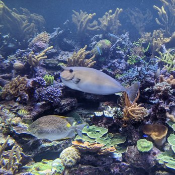 LONG ISLAND AQUARIUM - Updated August 2024 - 1126 Photos & 317 Reviews ...