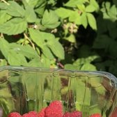 Butler’s Orchard - 514 Photos & 307 Reviews - Farmers Market - 22222 ...