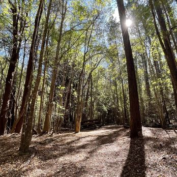 WAIHOU SPRING TRAIL - Updated September 2025 - 70 Photos & 21 Reviews ...