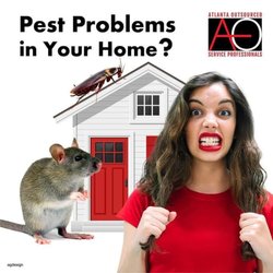 ATLANTA OUTSOURCED PEST CONTROL - 26 Photos - Pest Control - 5200 ...