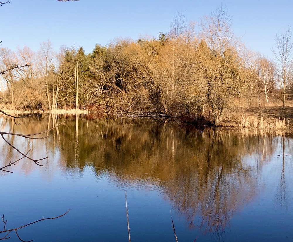 VALENS LAKE CONSERVATION AREA - Updated March 2025 - 1691 Regional Road ...