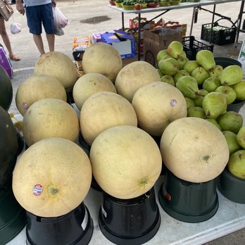 TRADERS VILLAGE - Updated January 2026 - 284 Photos & 140 Reviews ...