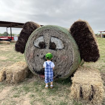 ROCKBERRY RANCH - Updated April 2025 - 112 Photos & 19 Reviews - 995W ...