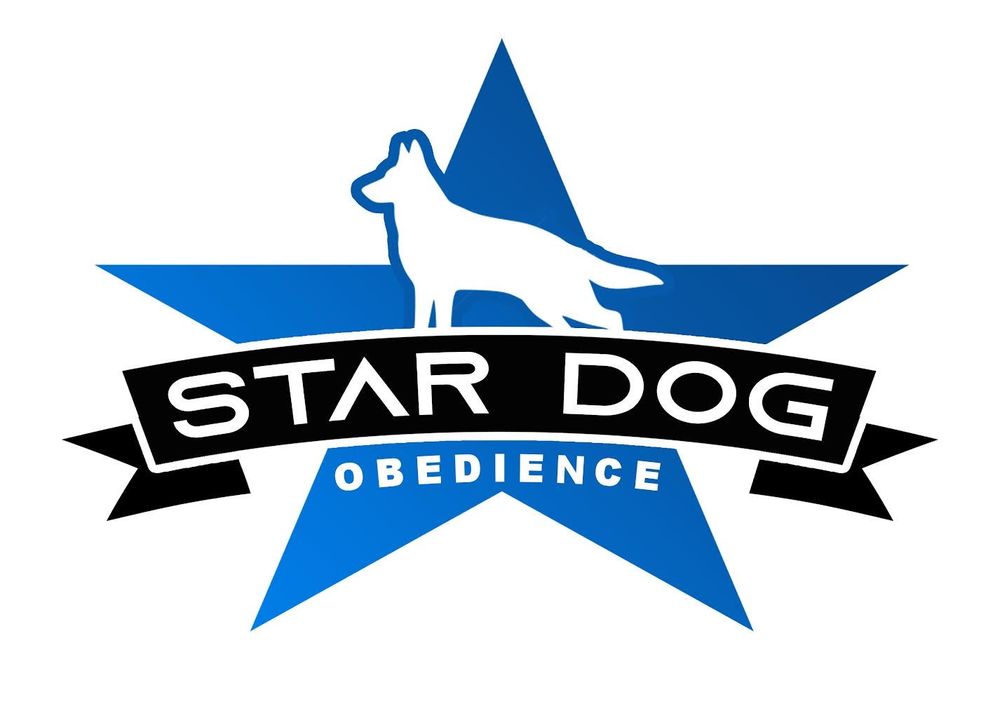 STAR DOG OBEDIENCE - Updated June 2026 - West Palm Beach, Florida - Pet ...