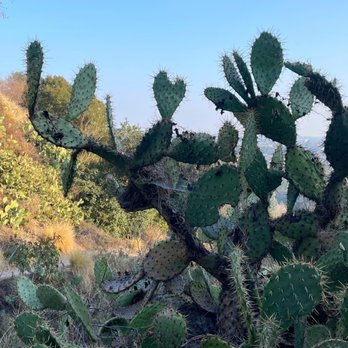 SAN DIMAS CANYON PARK - Updated December 2025 - 98 Photos & 31 Reviews ...