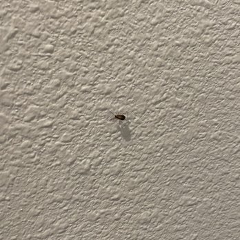 MILWEE STREET APARTMENTS - Updated June 2026 - 30 Photos & 12 Reviews ...