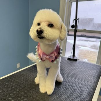 GEMINI DOGS - Updated August 2024 - 10 Photos & 21 Reviews - 53-B Ayer ...