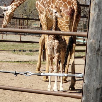 TULSA ZOO - Updated August 2025 - 529 Photos & 142 Reviews - 6421 E ...