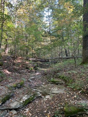 TOM DORMAN STATE NATURE PRESERVE - Updated July 2024 - 25 Photos ...