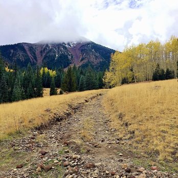 LOCKETT MEADOW - Updated October 2025 - 39 Photos - Flagstaff, Arizona ...