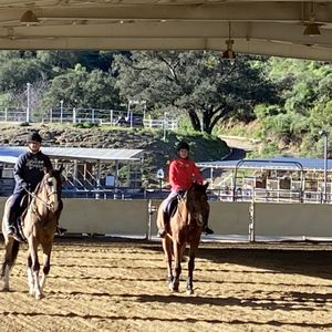 BLUE RIBBON SADDLE CLUB - Updated October 2025 - 38 Photos & 31 Reviews ...