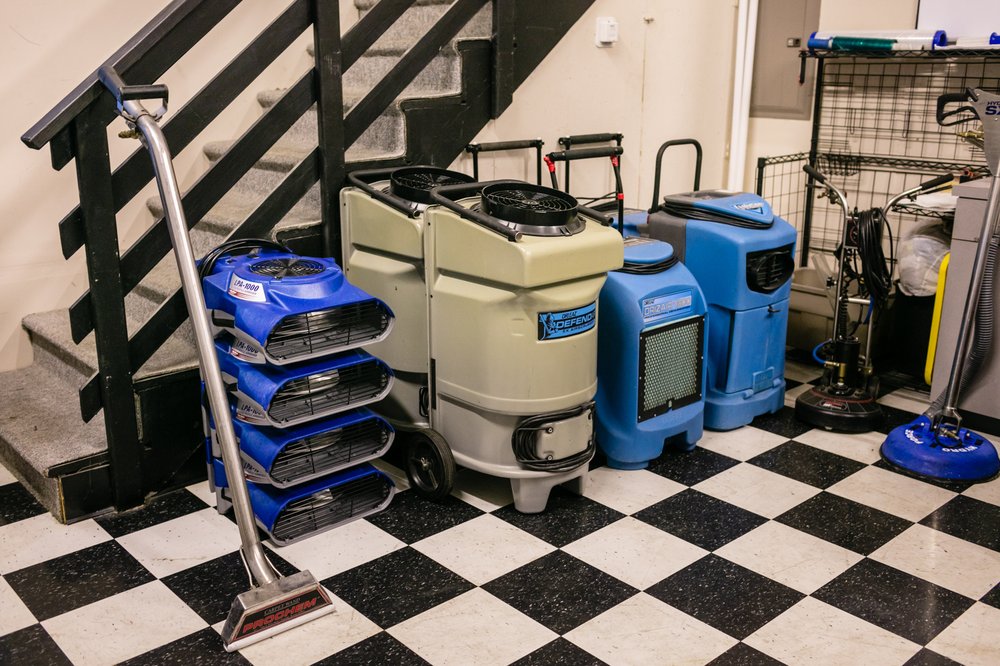 MAGIC CARPET SERVICES - Updated August 2024 - 11 Photos - 7791 N Aqua ...