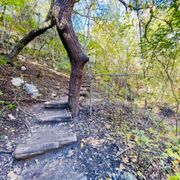 RIVER PLACE NATURE TRAIL - 549 Photos & 231 Reviews - 8830 Big View Dr ...