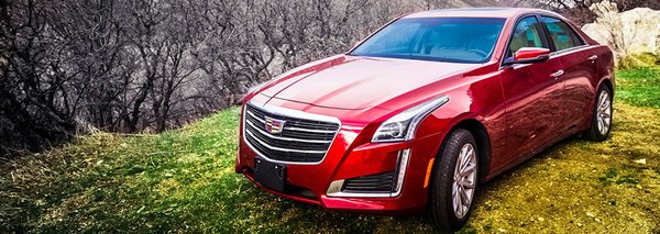 AUTOSAVVY WOODS CROSS - Updated May 2025 - 30 Photos & 130 Reviews ...