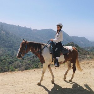SUNSET RANCH HOLLYWOOD STABLES - 708 Photos & 607 Reviews - Horseback ...