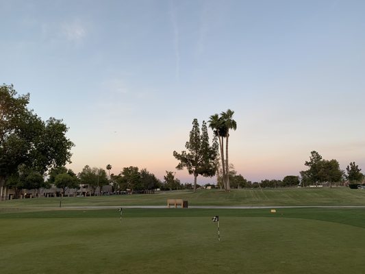 DOBSON RANCH GOLF COURSE - 43 Photos & 107 Reviews - 2155 S Dobson Rd ...