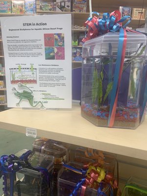 LEARNING EXPRESS TOYS - Updated July 2025 - 16 Photos & 16 Reviews ...