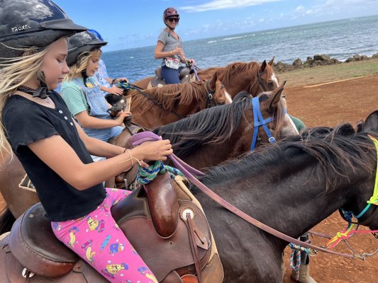 NORTH SHORE STABLES - Updated December 2024 - 653 Photos & 199 Reviews ...