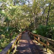 BIG TREE PARK - 128 Photos & 35 Reviews - 761 General Hutchinson Pkwy ...