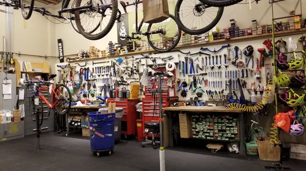 REI - 37 Photos & 99 Reviews - Bikes - 2715 Santa Rosa Ave, Santa Rosa ...