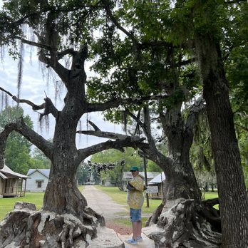 JACKSON LAKE ISLAND - Updated January 2026 - 56 Photos & 15 Reviews ...