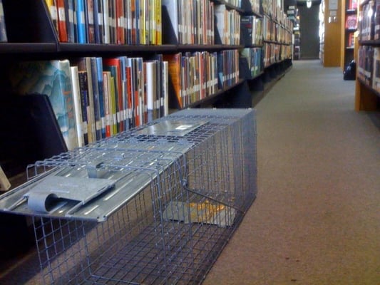 RUSSELL LIBRARY - Updated October 2025 - 45 Photos & 17 Reviews - 123 ...