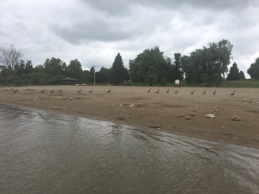 GUELPH LAKE - Parks - 7743 Conservation Dr, Guelph, ON - Phone Number