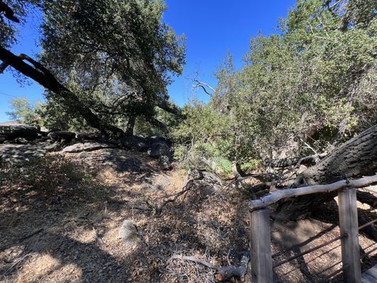 CRESTRIDGE ECOLOGICAL RESERVE - Updated January 2025 - 378 Photos ...