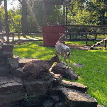 WISCONSIN DEER PARK - Updated October 2025 - 279 Photos & 144 Reviews ...