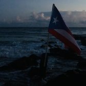 PANNES - Updated July 2024 - 1021 Photos & 793 Reviews - Av. Ashford ...