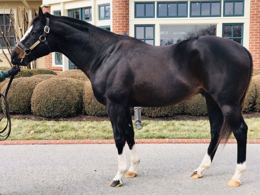 SPENDTHRIFT FARM - Updated August 2024 - 68 Photos - 884 Iron Works ...