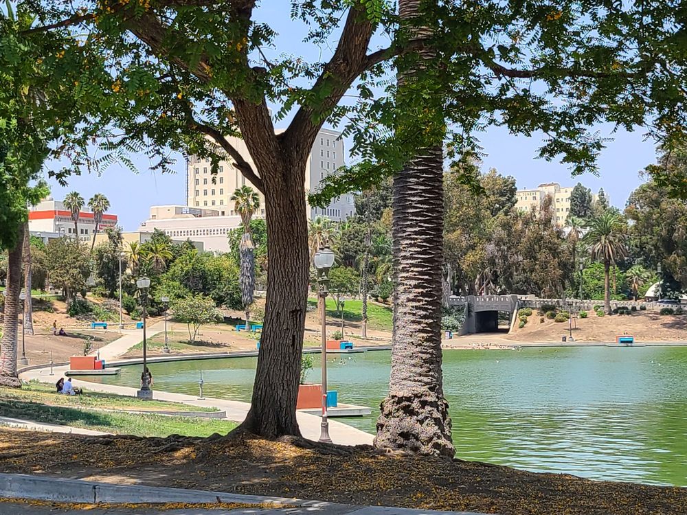 MACARTHUR PARK - Updated July 2025 - 443 Photos & 137 Reviews - 2230 W ...