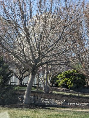 OPPD ARBORETUM - Updated January 2026 - 81 Photos & 15 Reviews - 10600 ...