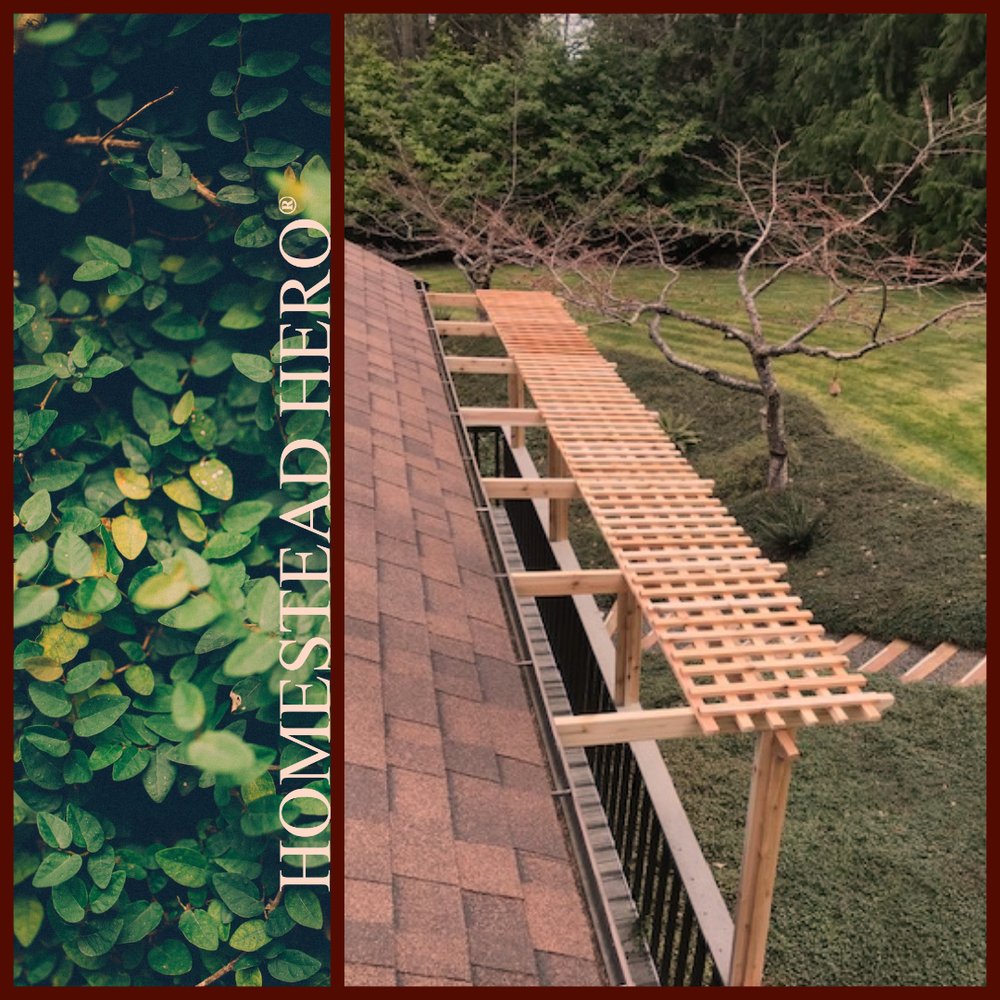 HOMESTEAD HERO - Updated September 2025 - Sequim, Washington - Roofing ...