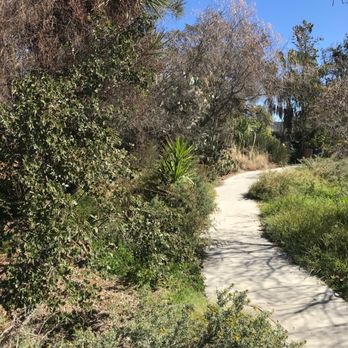 CSUN BOTANIC GARDEN - Updated August 2025 - 10 Reviews - 18111 Nordhoff ...