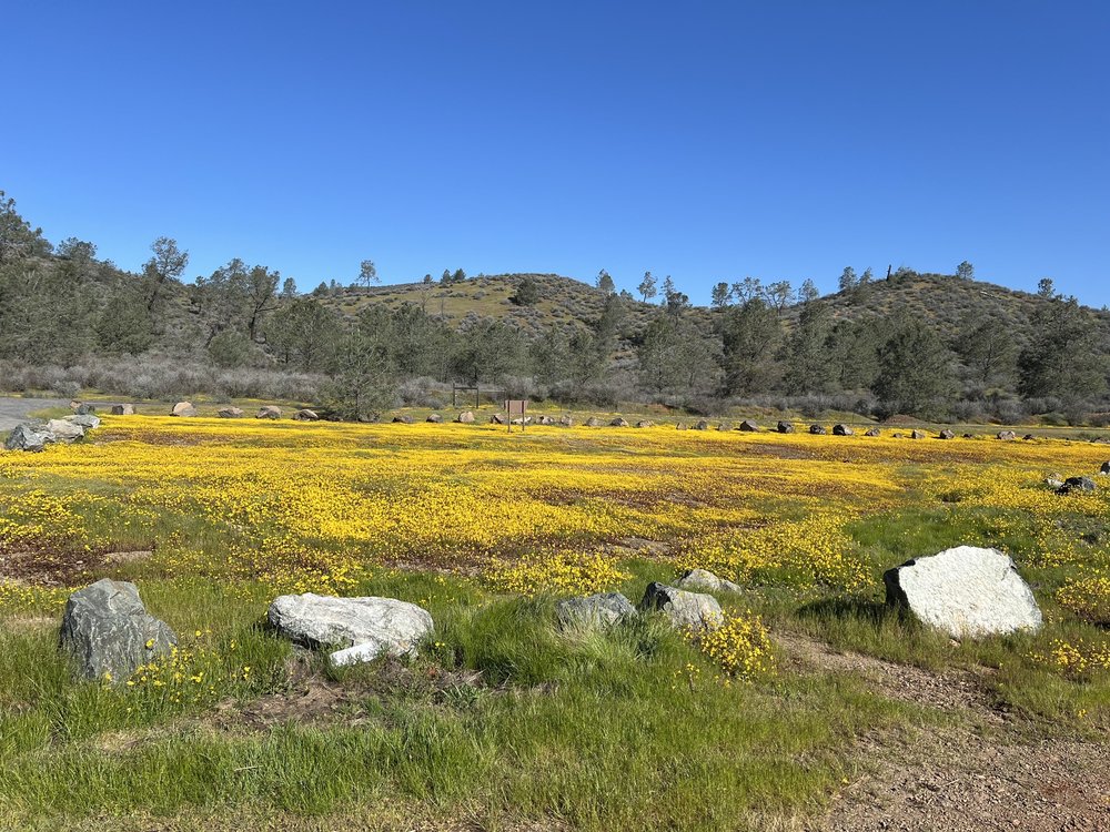 RED HILLS RECREATION MANAGEMENT AREA - Updated April 2024 - Red Hill Rd ...