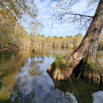 LAKE HOUSTON WILDERNESS PARK - Updated January 2026 - 228 Photos & 66 ...