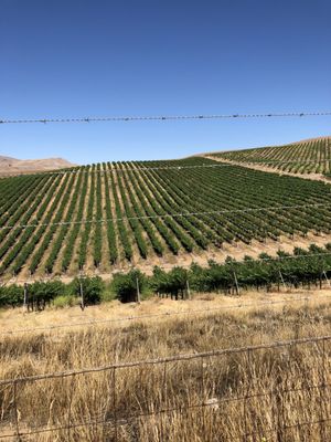 POPPY RIDGE GOLF COURSE - Updated June 2025 - 225 Photos & 227 Reviews ...